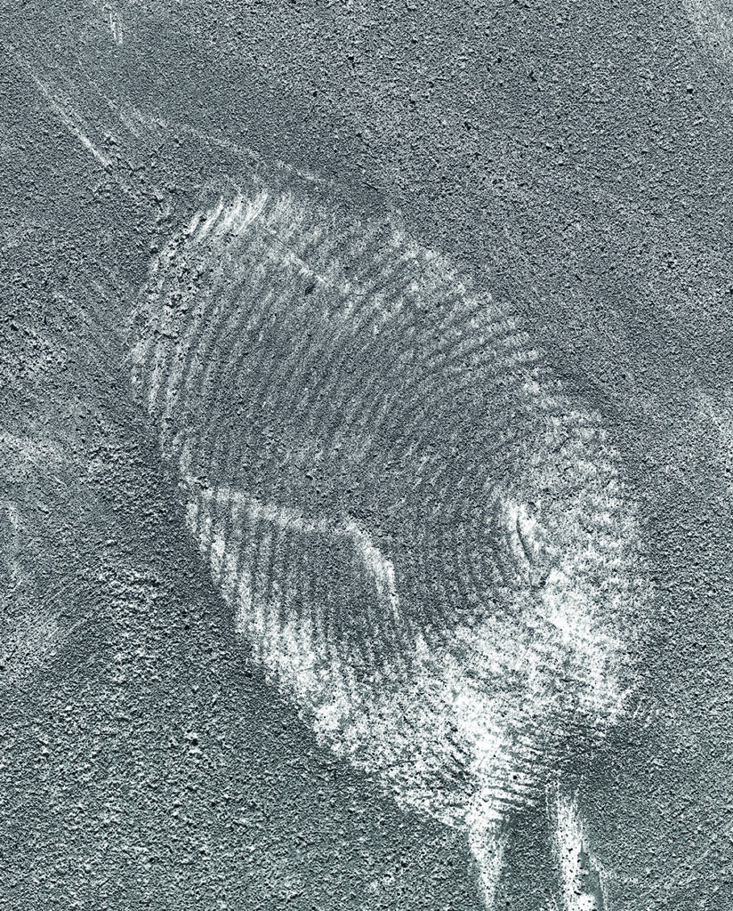 Criminology – Durham Sixth Form